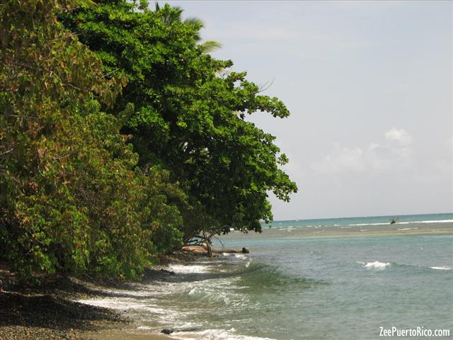 Playa Inches - ZeePuertoRico.com